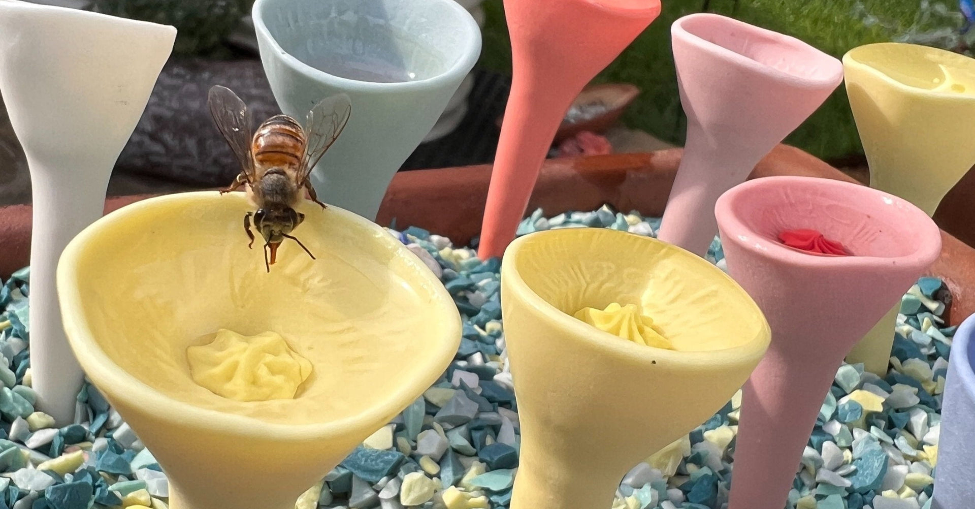 Bee Cups